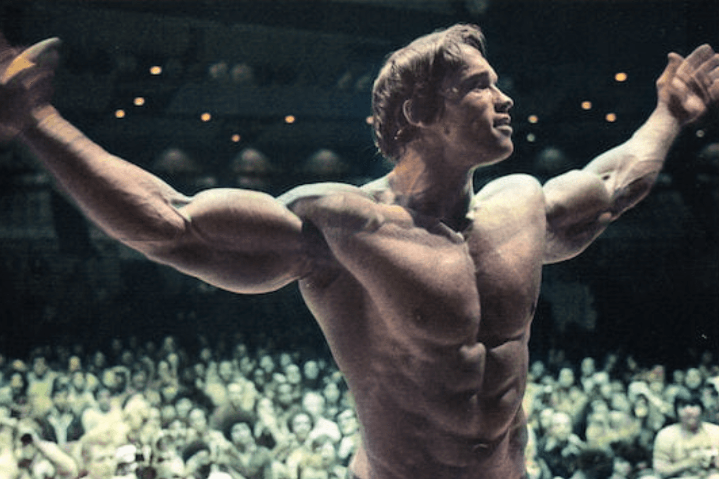 Arnold Schwarzenegger Bodybuilding History