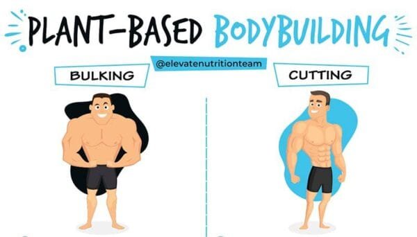 How to Properly Dry Out for a Bodybuilding Competition: Expert Tips