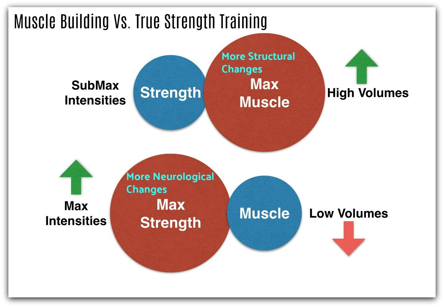 Does Muscle Growth Affect Height: Myths and Facts Explained